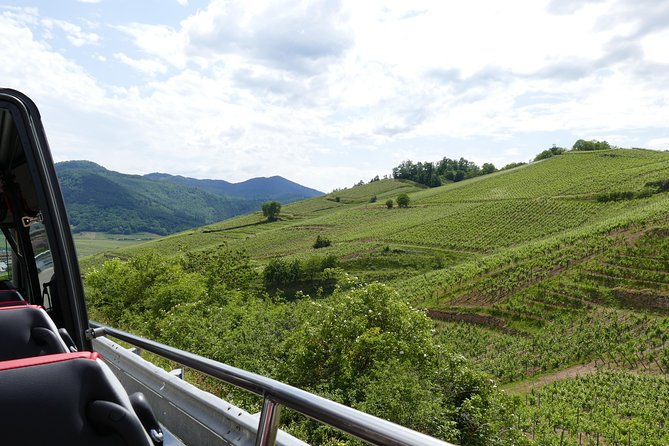 Medieval Villages and Wine Tasting From Strasbourg - Personalized Wine Tasting Experience