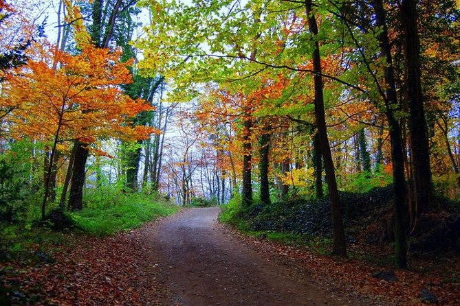 Medieval Villages & La Garrotxa Volcanic Zone Hiking. Small Group Tour - Frequently Asked Questions