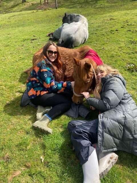 Meditate With Horses - Why This Experience Stands Out