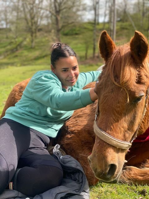 Meditate With Horses - The Sum Up: Is It Worth It?