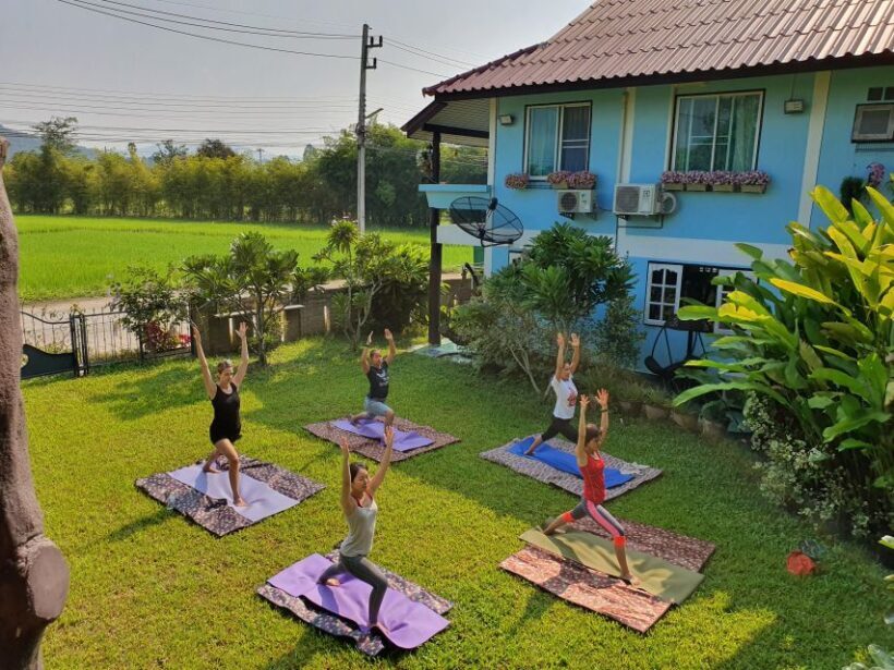 Meditation & Yoga Retreat in Nature - A Deep Dive into the Experience