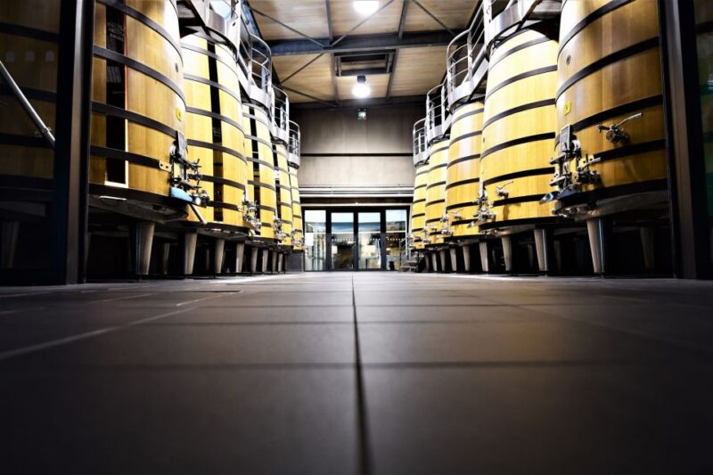 Medoc Afternoon Wine Tour, 2 Wineries, tastings & delicacies - Practical Tips for Tour Day