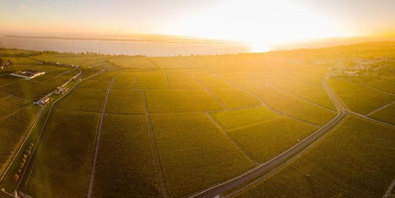 Medoc and Libournais (Left and right bank) - Who Will Love This Tour?