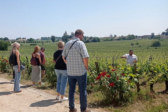 Médoc Morning Wine Tour - Winery & Tastings From Bordeaux - Winemaking Processes at the Grand Cru Classé Winery