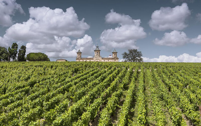 Médoc Morning Wine Tour - Winery & Tastings - Exploring the Médoc Morning Wine Tour – Winery & Tastings