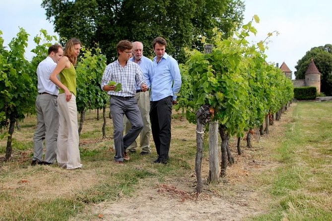 Medoc or Saint Emilion Wine Tasting and Chateau from Bordeaux - Who Will Love This Tour?