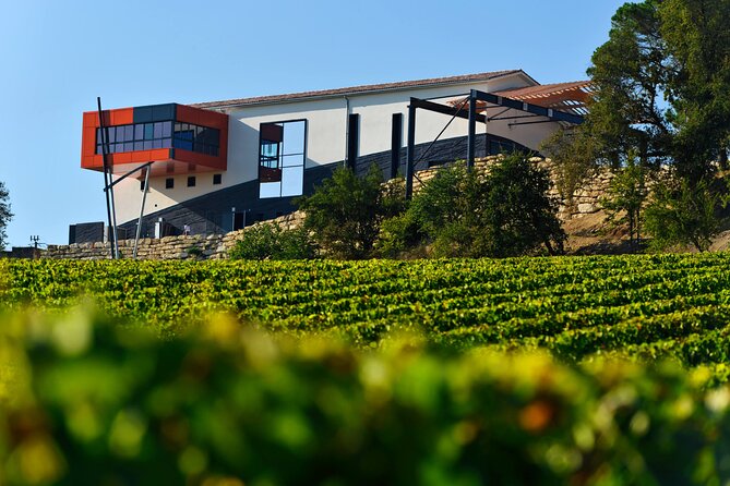 Medoc Private Half Day Wine Tour From Bordeaux - Explore the Medoc Wine Region