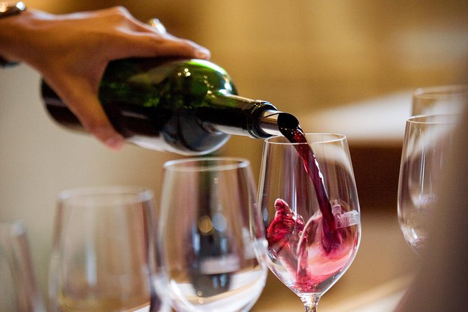 Medoc Region Private Sightseeing & Wine Day Trip with Tasting from Bordeaux - An Authentic Bordeaux Experience: A Deep Dive into the Tour