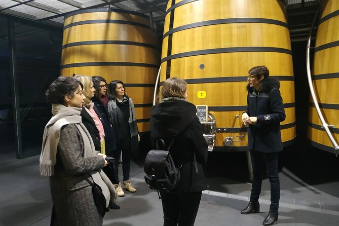 Medoc Region Wine Day Trip with Vineyard Visits & Tastings from Bordeaux - The Experience and Its Quality