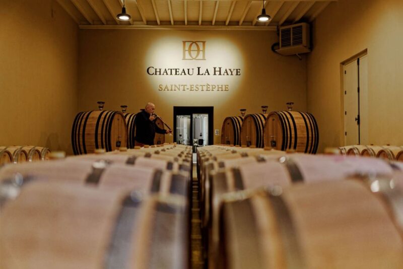 Medoc Tour : Margaux, Saint Estèphe and greediness - Key Points