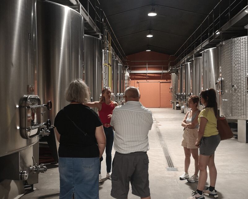 Médoc wine tour from Bordeaux: 2 wineries & 6 wines - A Closer Look at the Itinerary and Experience