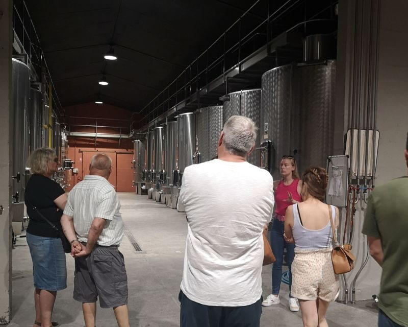 Médoc wine tour from Bordeaux: 2 wineries & 6 wines - FAQ: Your Practical Questions Answered