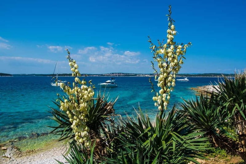 Medulin: Boat Cruise to Kamenjak/Ceja with Lunch and Drinks - Who Will Love This Experience?