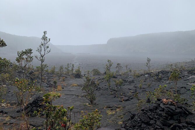 Meet in the park - Private Hawaii Volcanoes National Park Tour - Who Is This Tour Best For?