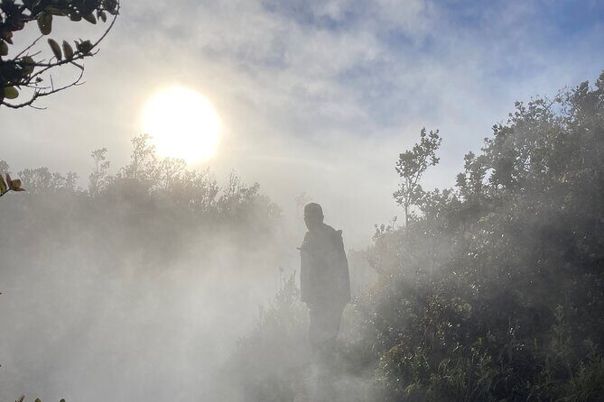 Meet in the park - Private Hawaii Volcanoes National Park Tour - FAQ