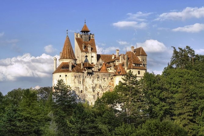 Meet the Bears & Visit Dracula Castle Day Tour from Bucharest - FAQ