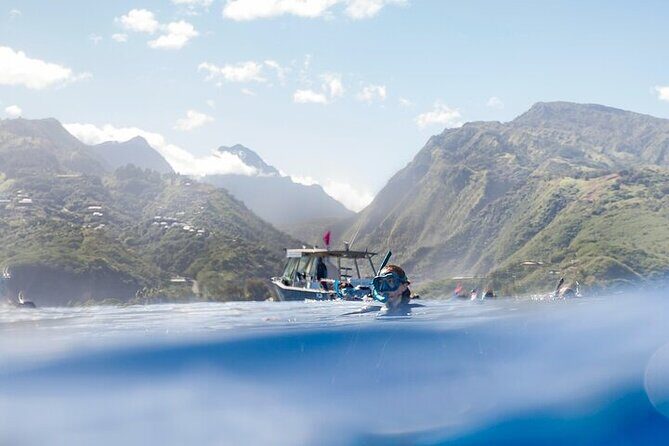 Meet the giants of the seas Semi-private whale trip - Frequently Asked Questions