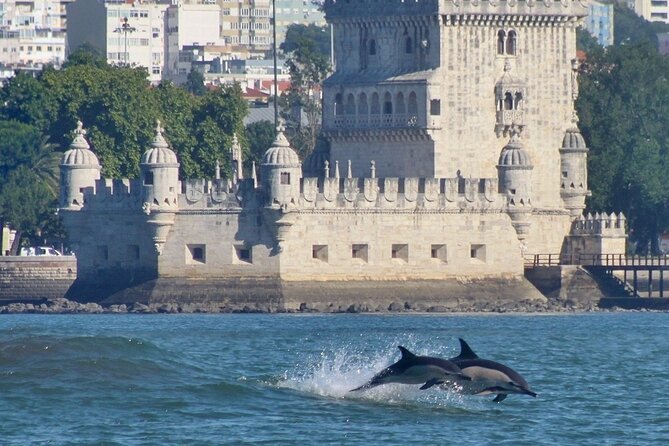 Meet the Lisbon Dolphins - Dolphin Watching in Lisbon - Booking Information and Pricing
