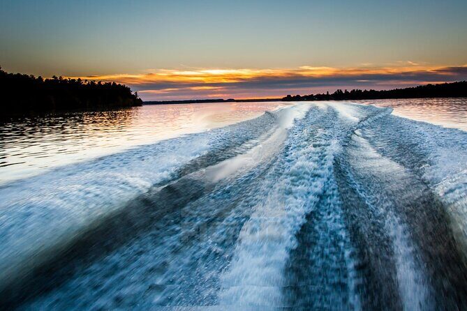 Meet The Seals Boat Tour - Travel by boat to a Secret Seal Cove - What Reviewers Say