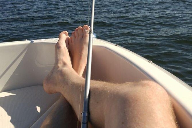Meet The Seals Boat Tour - Travel by boat to a Secret Seal Cove - In Summary: Is This Tour Worth It?