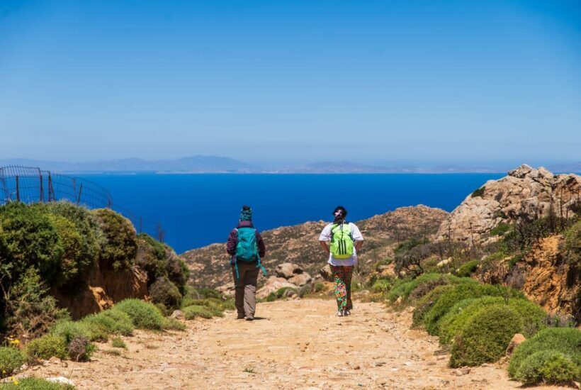 Meet the trees in Cyclades Hiking (Small group experience) - Itinerary Breakdown: What to Expect