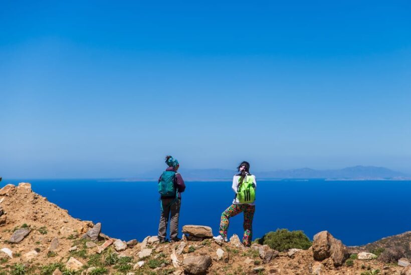 Meet the trees in Cyclades Hiking (Small group experience) - The Value of the Tour