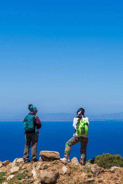 Meet the trees in Cyclades Hiking (Small group experience) - The Sum Up