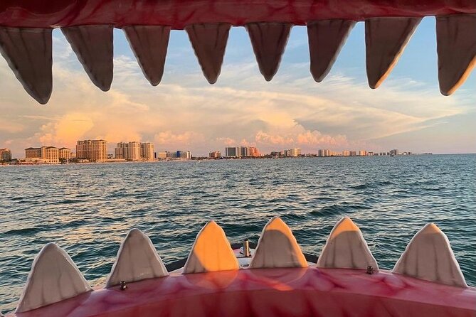 Mega Bite Dolphin Tour Boat in Clearwater Beach - Who Will Love This Tour?