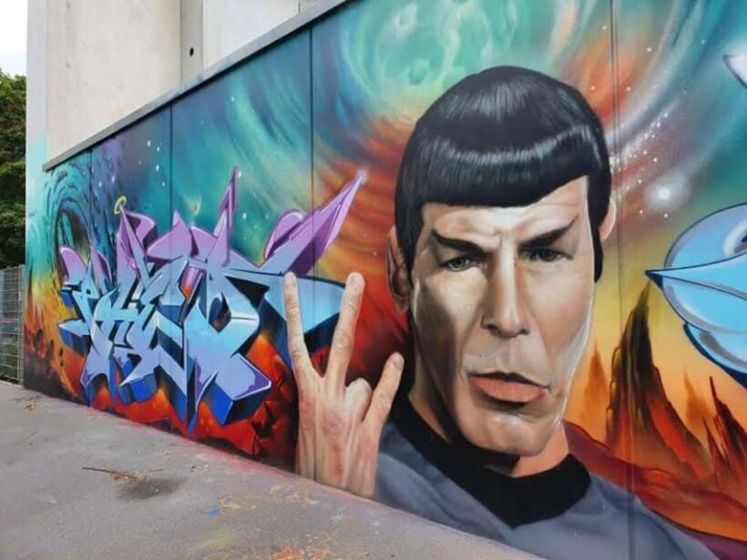 Mega Street Art, Mural, Graffiti Private Tour - Artistic Diversity and Political Expression