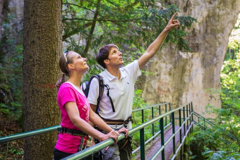 Mega Zipline & Cave Experience - Adventure Gorge Salzachklamm - Who Should Consider This Tour?