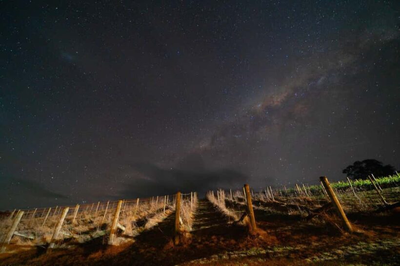 Megalong Valley: Wine Tasting and Stargazing Experience - An In-Depth Look at the Megalong Valley Wine Tasting and Stargazing Experience