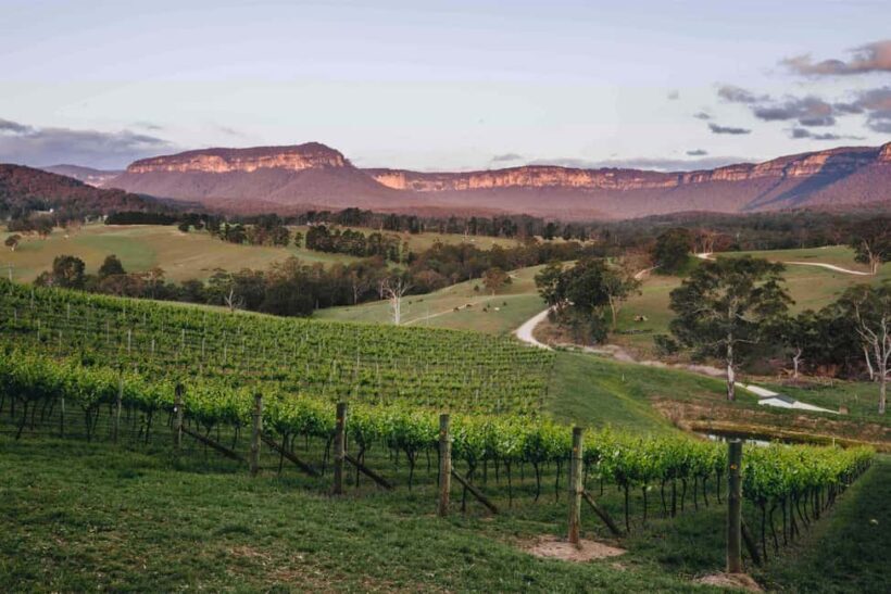 Megalong Valley: Wine Tasting and Stargazing Experience - Who Should Book This Tour?