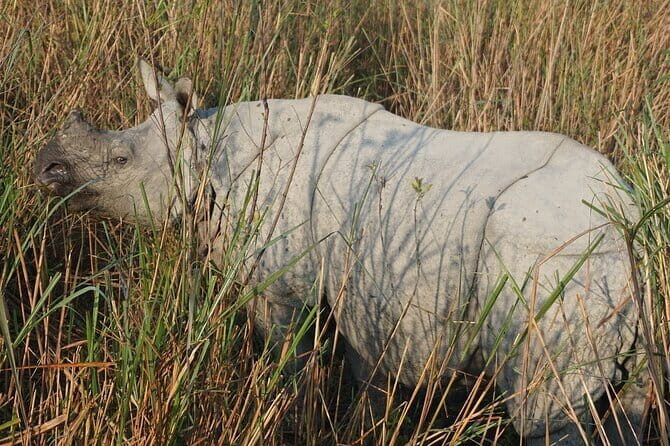 Meghalaya With Kaziranga - Key Points