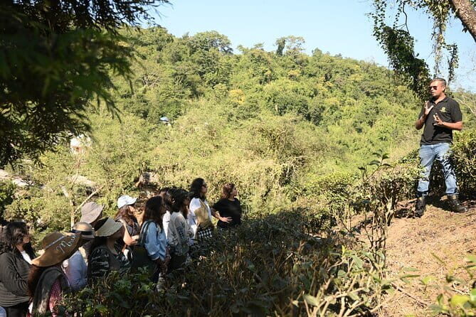 Meghalaya With Kaziranga - The Sum Up