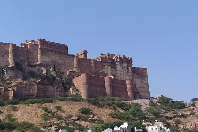Mehrangarh Fort and Blue City Historic Tour with Local Guide - Who Would Love This Tour?