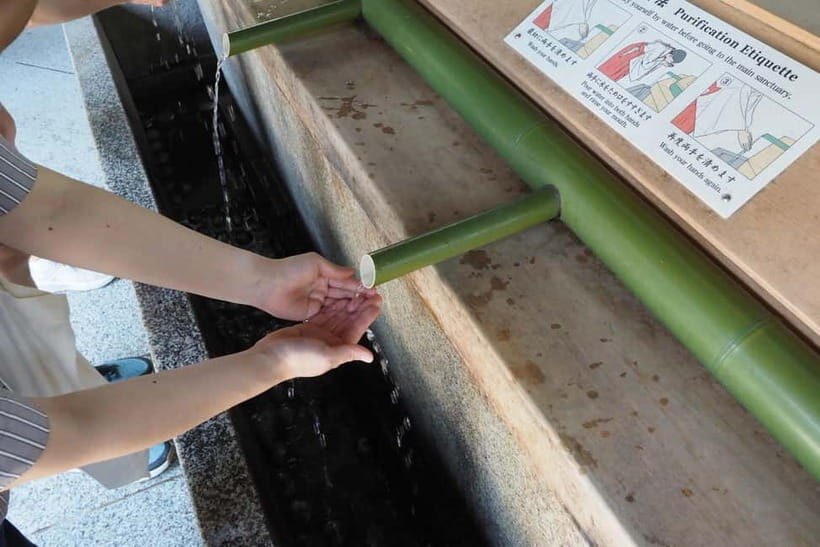 Meiji Jingu Shrine; Aoyama; Art Museums and Walking Tours - An In-Depth Look at the Tour