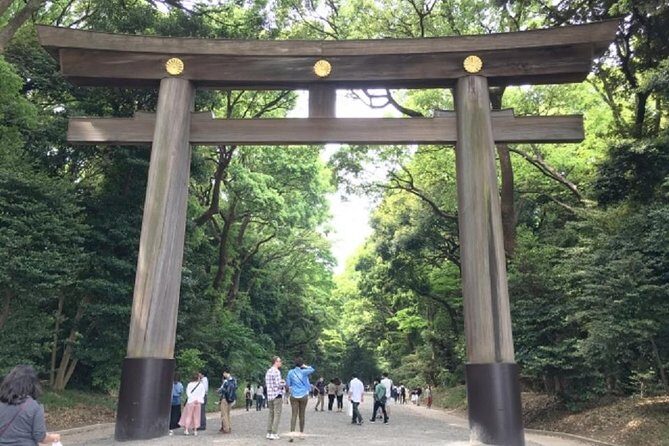 Meiji Jingu Shrine Half-day Tour by public transportation - Who Should Consider This Tour?