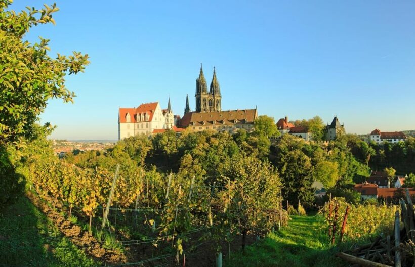 Meissen: Wine hike to the Rothes Gut winery including 3-person wine tasting - Discovering Meissen: A Wine Hike to Rothes Gut Winery