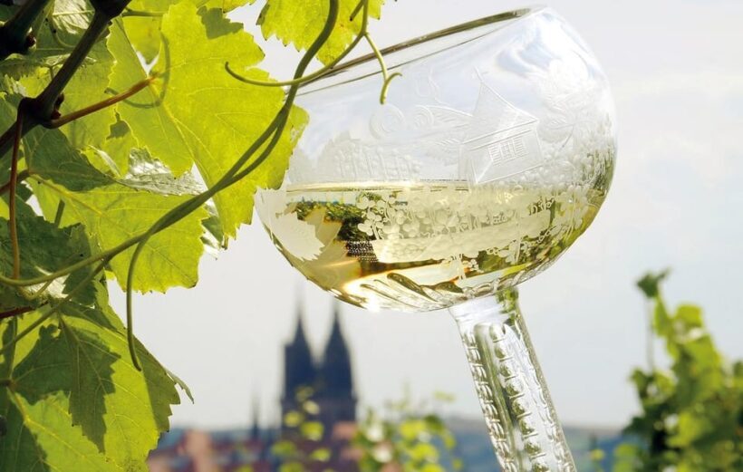 Meissen: Wine hike to the Rothes Gut winery including 3-person wine tasting - Final Thoughts: Why This Experience Is Worth Considering
