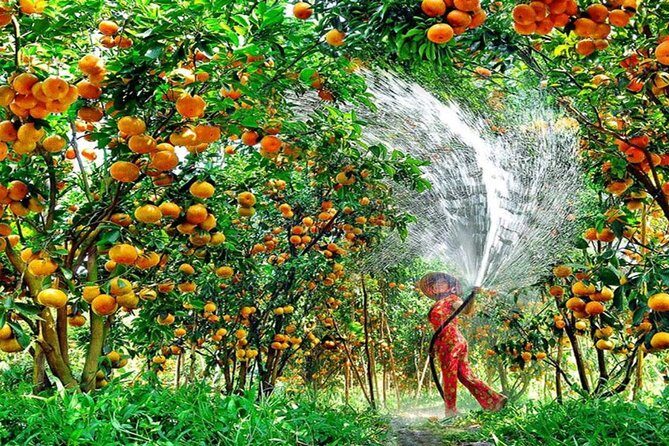 Mekong Delta 1 Day Tour - Who Will Love This Tour?