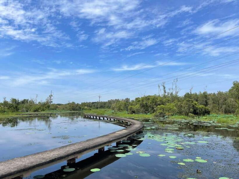 Mekong Delta 2 Days Tour: Cajuput Forest, Sa Dec, My Tho - Exploring the Mekong Delta: A Practical Guide to the 2-Day Tour