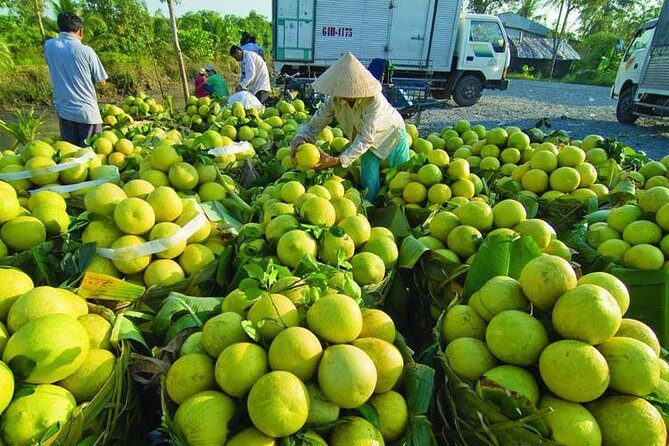 Mekong Delta 2Day Tour: Cai Rang Floating Market, My Tho, Can Tho - What Makes This Tour Stand Out?