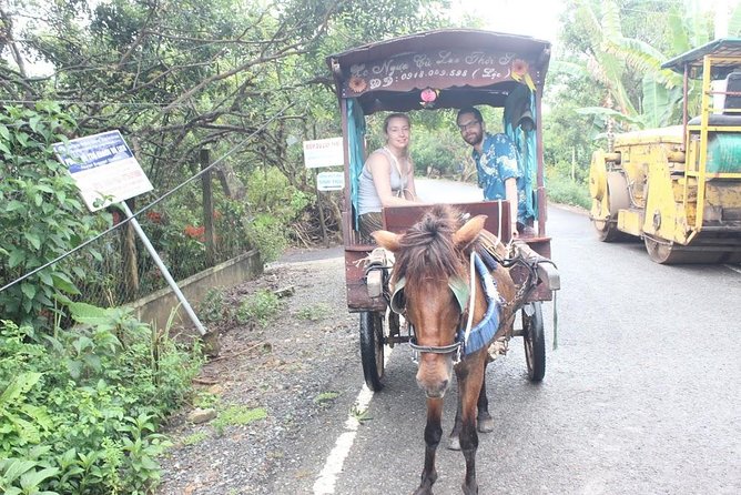Mekong Delta Adventure by Private Car from Phu My Port - The Practical Side: Price, Duration, and Value