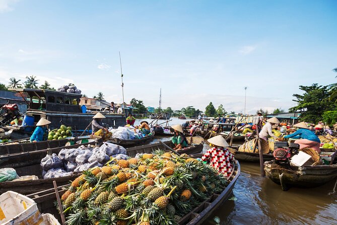 Mekong Delta & Cai Rang Floating Market 2-Day Tour from HCM City - Final Thoughts