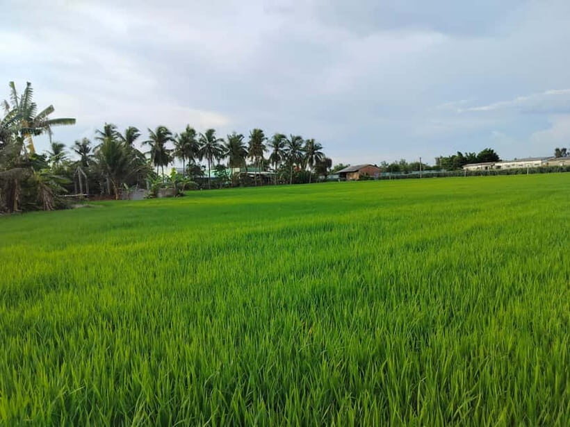 Mekong Delta Cruise: Explore Cycling & Cook Classes Day Trip - Key Points