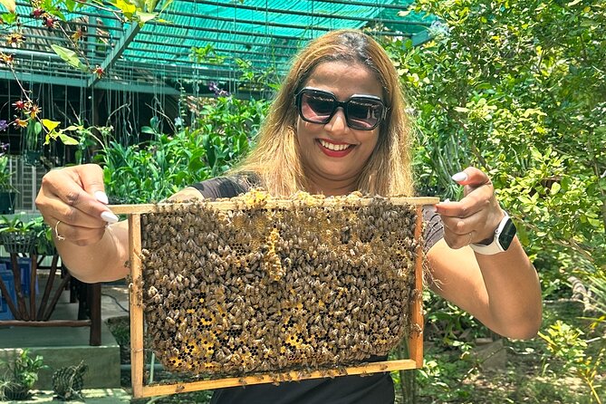 Mekong Delta Day Tour Experience Authentic Vietnamese Culture! - Practical Details & Tips