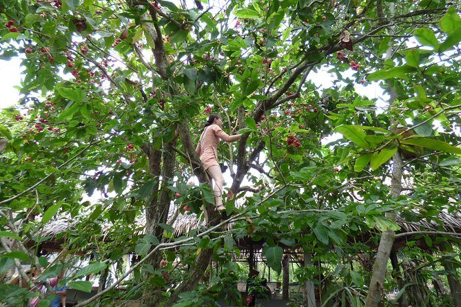 Mekong Delta exploring full day Trip - The Sum Up