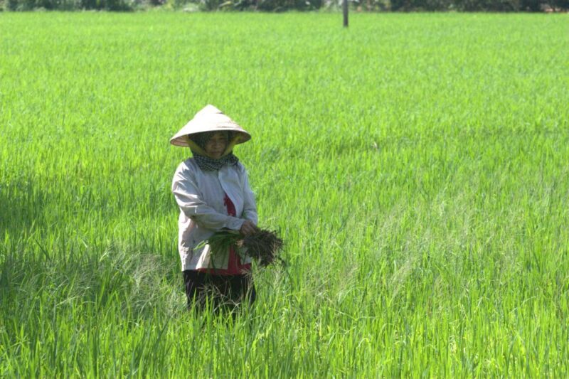 Mekong Delta Private Tour from Ho Chi Minh City - FAQ