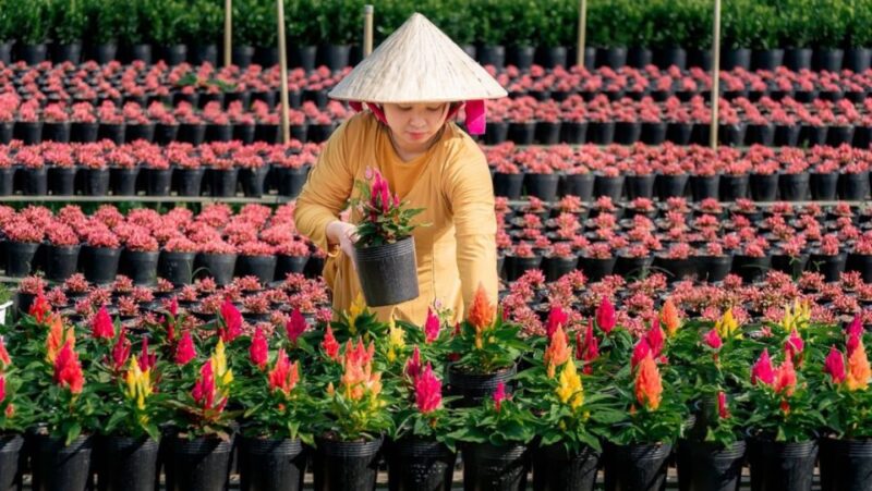 Mekong Delta Tour 2-Day (SaDec  Can Tho - My Tho - Ben Tre) - What Travelers Can Expect: Practical Details and Insights