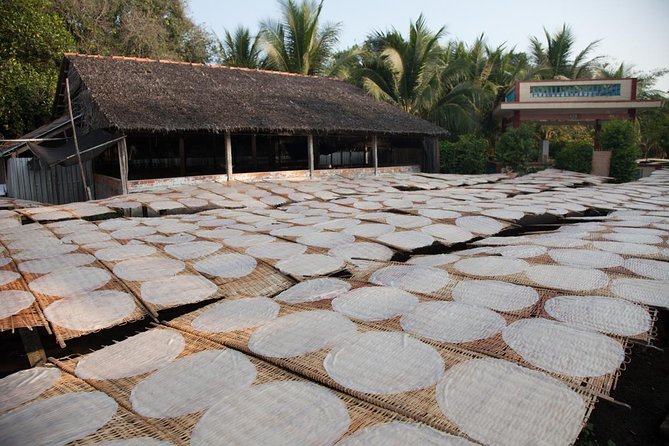 Mekong Delta Tour Full Day Cai Be-Vinh Long - Who Is This Tour Best For?